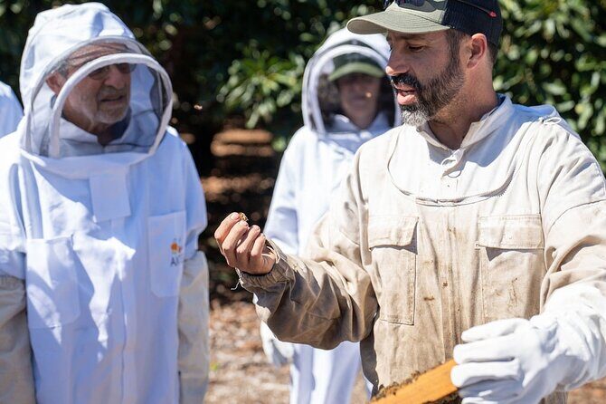Meet the Bees Guided Apiary Tour and Honey Tasting - An In-Depth Look at the Apiary Experience