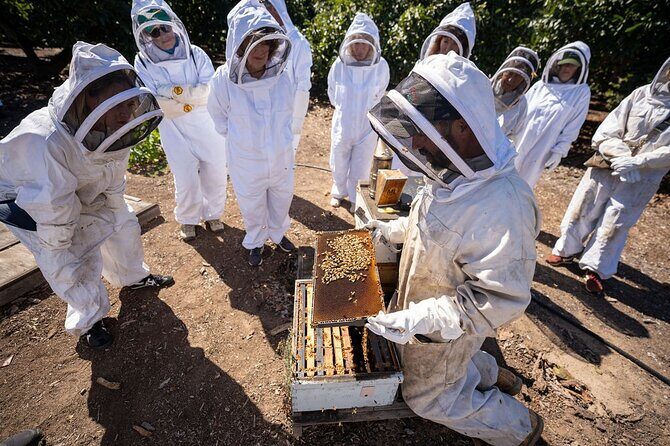 Meet the Bees Guided Apiary Tour and Honey Tasting - Who Will Love This Tour?