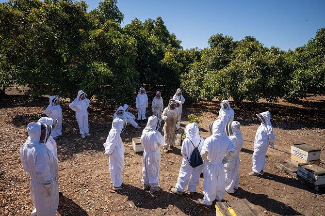 Meet the Bees Guided Apiary Tour and Honey Tasting - FAQs