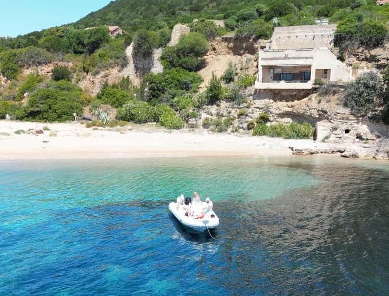 Meet the Dolphins  Escursione in Gommone - RIB Excursion - Introduction