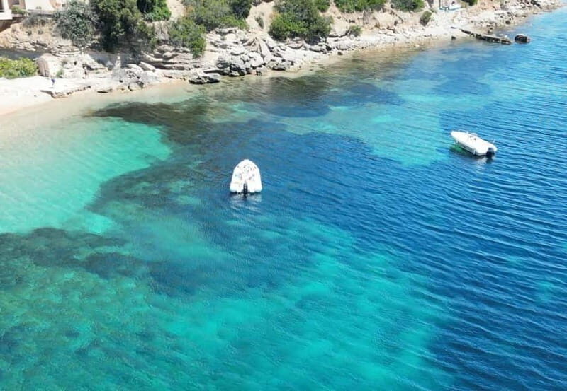 Meet the Dolphins  Escursione in Gommone - RIB Excursion - Practical Details and Considerations