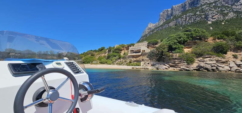 Meet the Dolphins  Escursione in Gommone - RIB Excursion - Who It’s Best For