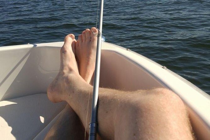 Meet The Seals Boat Tour - Travel by boat to a Secret Seal Cove - Authentic Traveler Feedback
