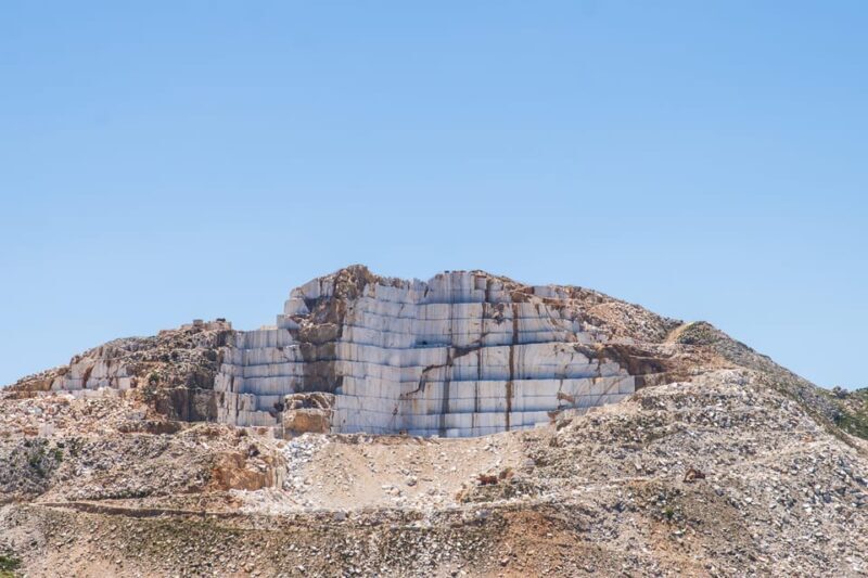 Meet the trees in Cyclades Hiking (Small group experience) - Key Points