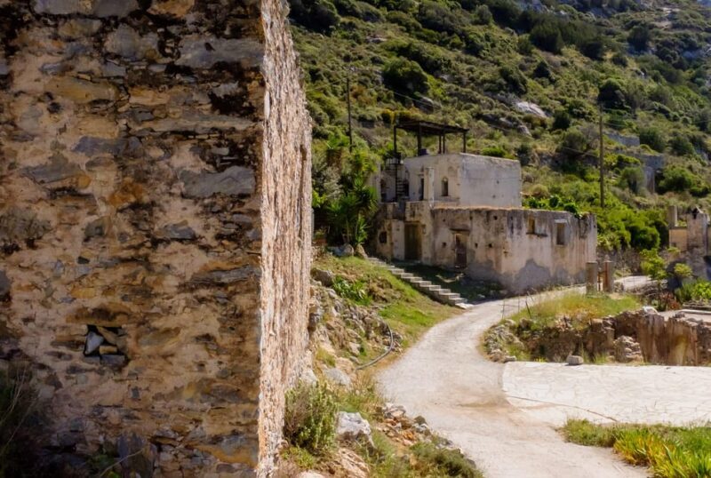 Meet the trees in Cyclades Hiking (Small group experience) - Why You Should Consider This Tour