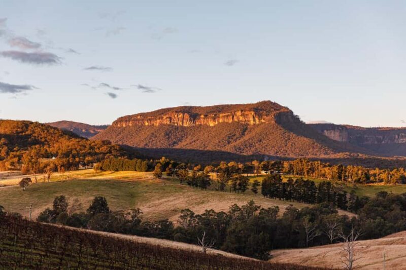 Megalong Valley: Wine Tasting and Stargazing Experience - An Authentic Evening in Megalong Valley