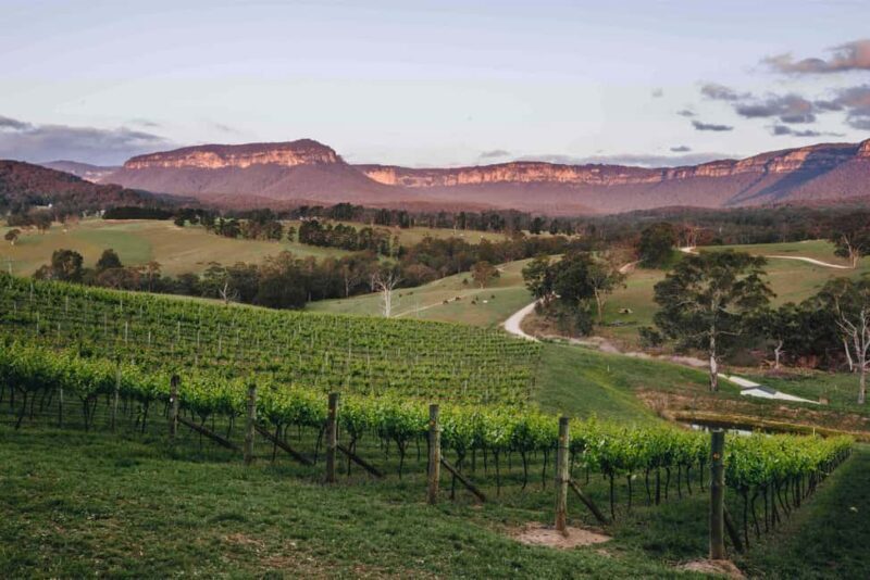 Megalong Valley: Wine Tasting and Stargazing Experience - Who Will Love This Tour Most?
