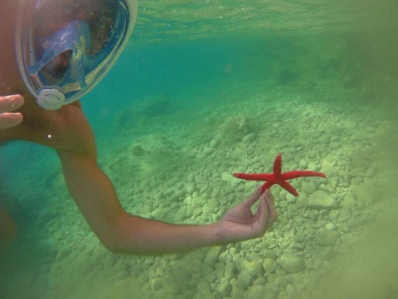Meganisi: Half-Day Guided SUP Tour to Nisída Thiliá Island - The Sum Up