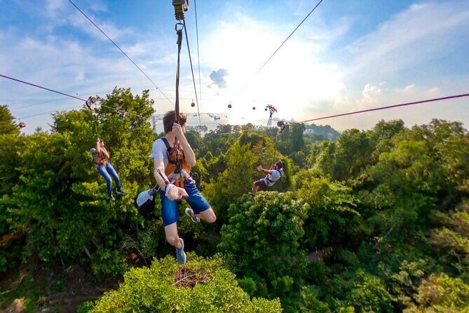 MegaZip Adventure Ride Jungle Beach & Sea Experience |Singapore - Key Points