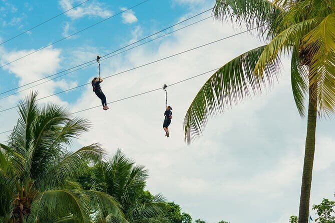 MegaZip at Mega Adventure - What is MegaZip at Mega Adventure?