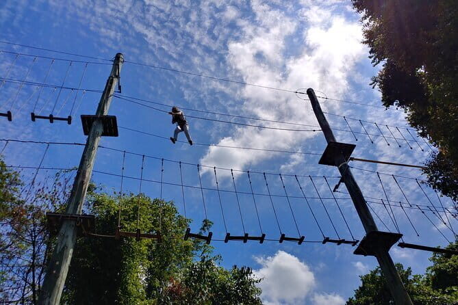 MegaZip, Climb & Jump at Mega Adventure - The Treetop Challenge: MegaClimb