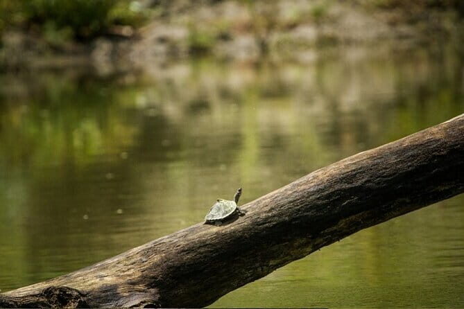 Meghalaya With Kaziranga - A Close Look at the Itinerary