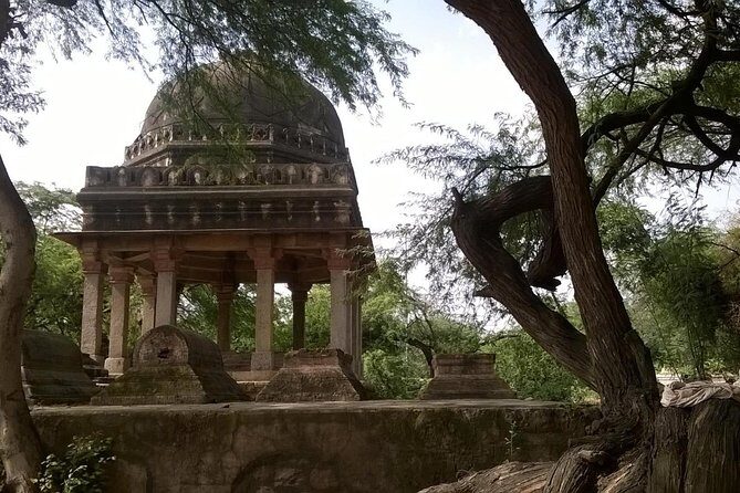 Mehrauli Archaeological Park Guided Walking Tour in Delhi - Why This Tour Is a Good Choice