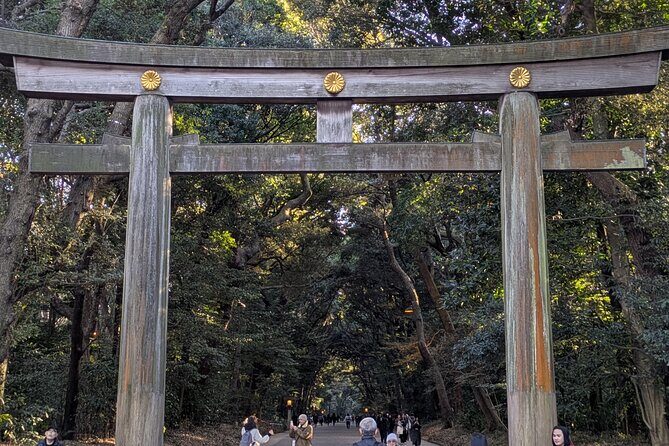 Meiji Jingu Shrine and Park Tour - Key Points