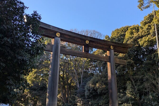 Meiji Jingu Shrine and Park Tour - The Sum Up