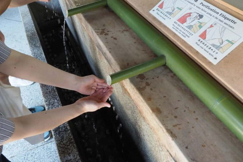 Meiji Jingu Shrine; Aoyama; Art Museums and Walking Tours - Key Points