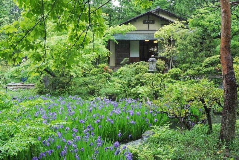 Meiji Jingu Shrine; Aoyama; Art Museums and Walking Tours - A Guided Introduction to Tokyo’s Contrasts