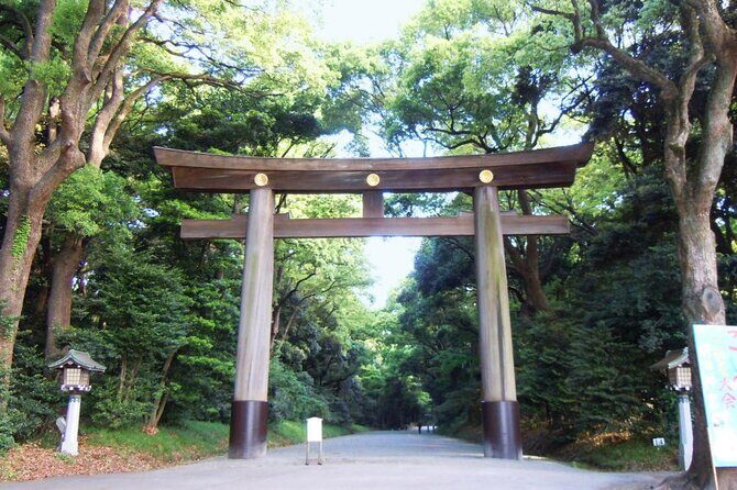Meiji Shrine & Harajuku Walking Tour Tradition Meets Pop Culture - Authentic Insights and Traveler Tips