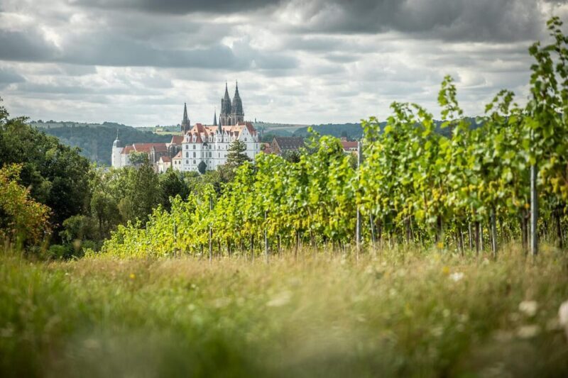 Meissen: Wine hike in the Proschwitz vineyards incl. 3-person wine tasting - Authenticity and Unique Appeal