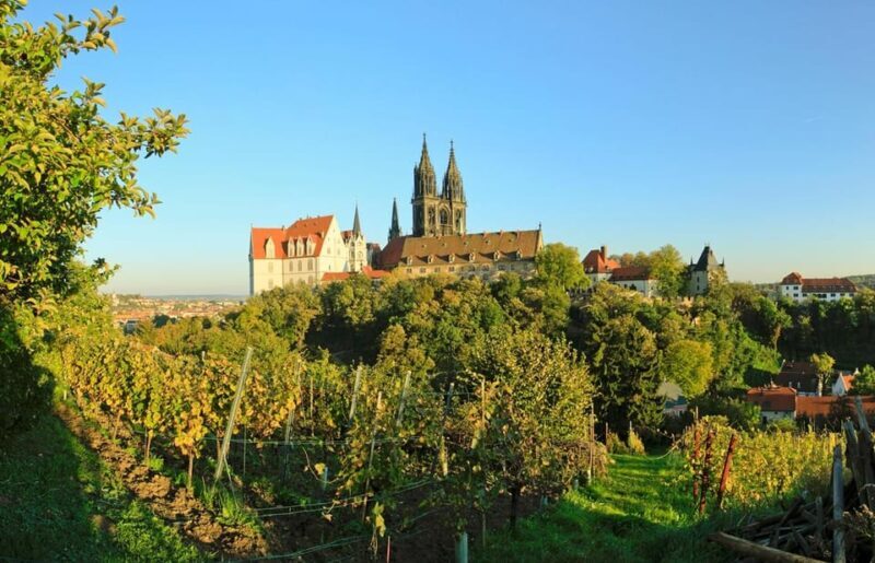 Meissen: Wine hike to the Rothes Gut winery including 3-person wine tasting - Key Points