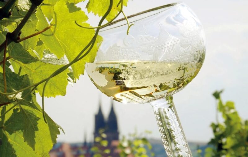 Meissen: Wine hike to the Rothes Gut winery including 3-person wine tasting - The Itinerary and Experience Breakdown