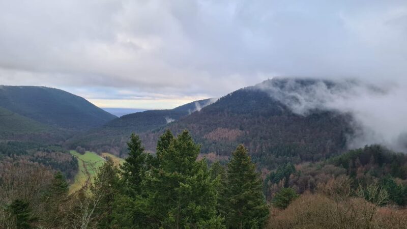 Meistersel Castle: adventure tour of the medieval castle - Key Points