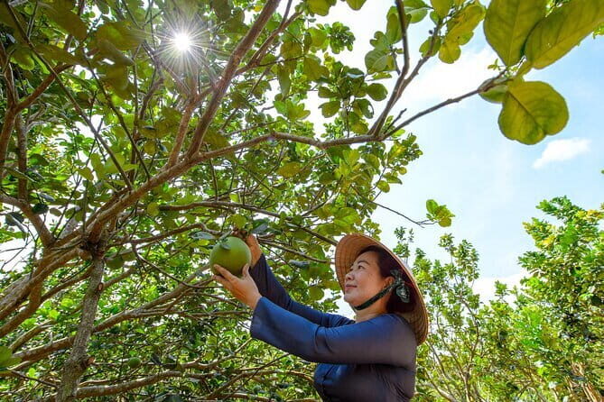 Mekong Countryside One Day Boat Rowing and Exploration Trip - In-Depth Look at the Mekong Countryside Experience