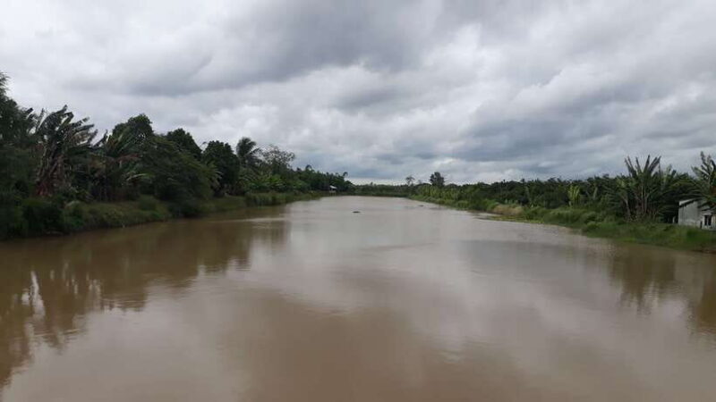 Mekong Day Tour by Car:Cai Be market, Local Island & Cycling - Summary & Final Thoughts