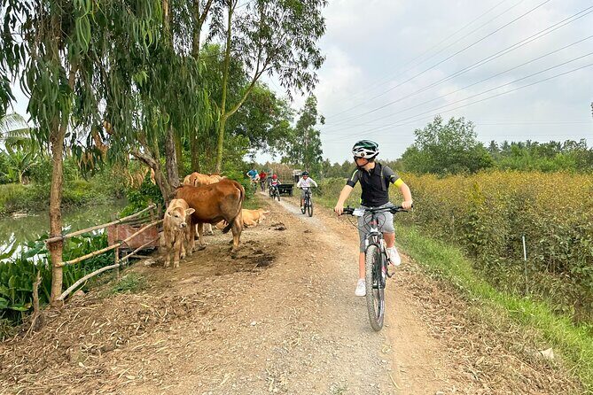 Mekong Delta 2 days 1 nights Cycling Trip - Terrain and Experience