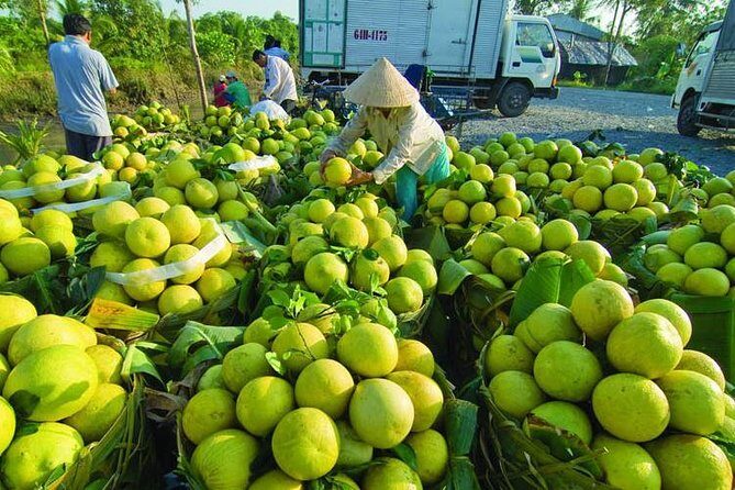 Mekong Delta 2Day Tour: Cai Rang Floating Market, My Tho, Can Tho - Key Points