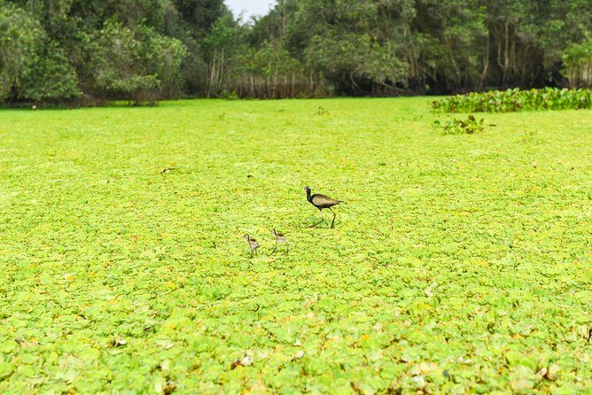 Mekong Delta 3-Day: Saigon to Phnom Penh Gateway - The Itinerary in Detail