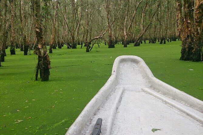 Mekong Delta Adventure: 3 Days Floating Markets & Tra Su Forest - The Journey Begins: From Ho Chi Minh City to My Tho