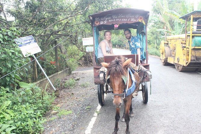 Mekong Delta Adventure by Private Car from Phu My Port - Practical Details: What You Need to Know