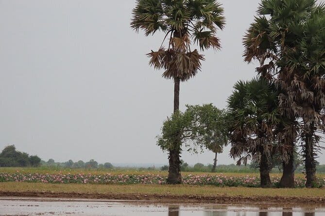 Mekong Delta Cycling Tour PhnomPenh to SaiGon 4 days - Final Thoughts