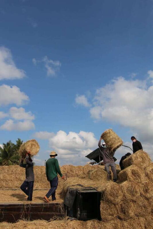 Mekong Delta Discovery: 2-Day Tour of Ben Tre & Can Tho - FAQs