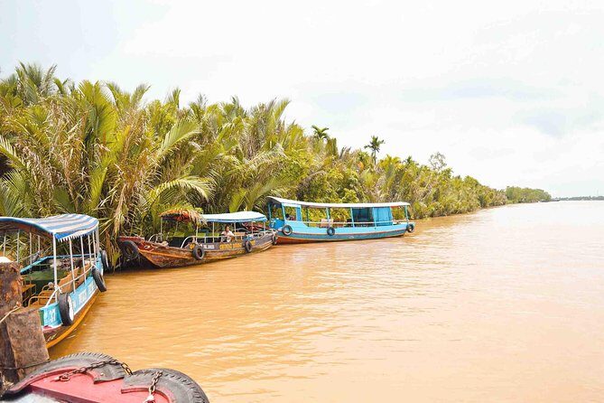 Mekong Delta One Day Tour - Exploring An Khanh and Water Coconuts