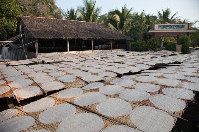 Mekong Delta Tour Full Day Cai Be-Vinh Long - Final Thoughts