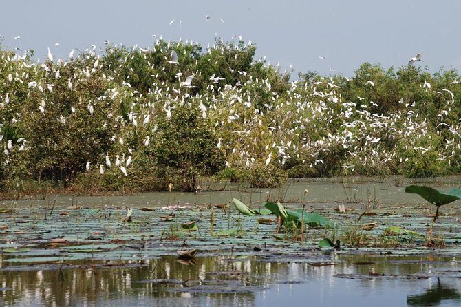Mekong Delta Tours 3days - CaiBe Vinh Long ChauDoc CanTho - Practical Details: What You Need to Know
