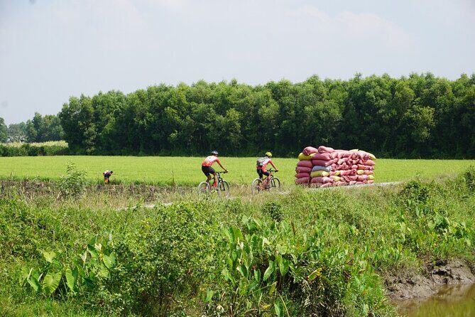 Mekong Essential Cycling - Who Will Enjoy This Tour Most?