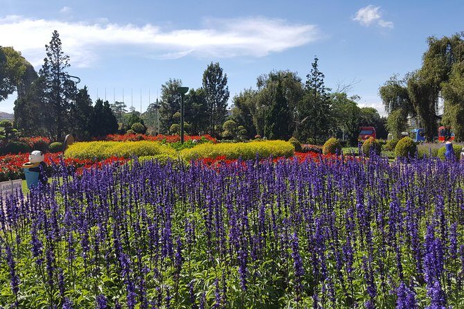 Mekong Floating Market: Join with Local Life 2 Days (No Hotel) - Frequently Asked Questions (FAQs)