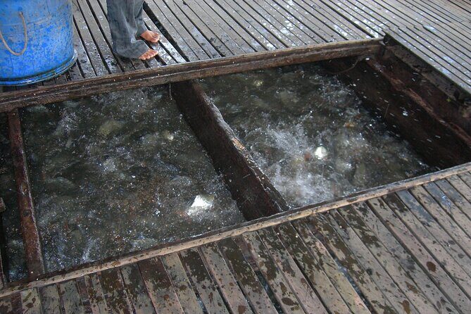 Mekong River Cruise CanTho ChauDoc PhnomPenh 3 days - Day 3: Border Crossing and Phnom Penh