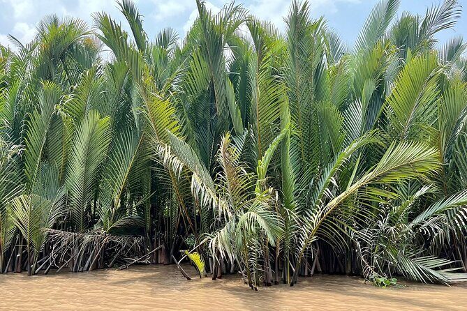 Mekong River Retreat 2 Days And 1 Night Adventure - Final Thoughts