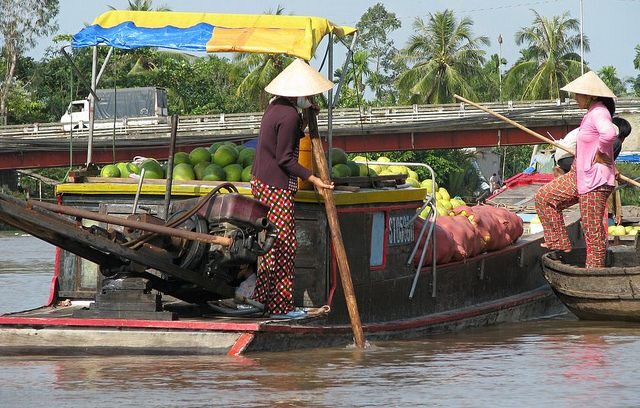 Mekong tour: Cai Be - Can Tho Floating Market 2 days - Who Will Love This Tour?