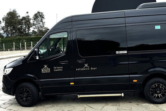 MEL Airport Transfer to Melbourne CBD Private Van Hire - Introduction