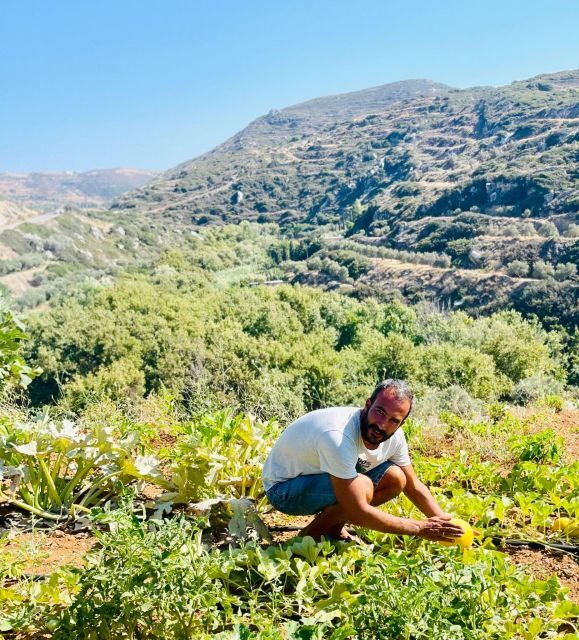 Melanes: Naxos Perivoli Farm & Cooking Class with Wood Fire - Discovering the Potato Fields & Seasonal Fruits
