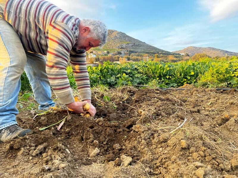 Melanes Tour: Kouros, culture,village life & local flavours - A Practical Overview of the Tour