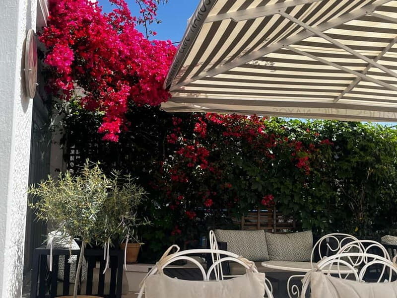 Melanes Tour: Village Highlights & Garden-to-Table Meal - Reviews Reflecting Authenticity and Experience
