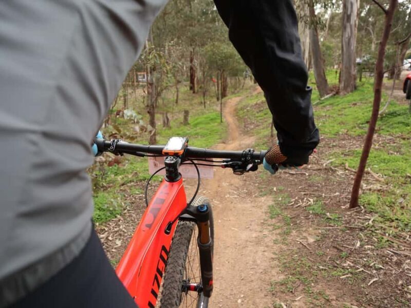 Melbourne: 1-Day Mountain Biking Adventure with Lunch - The Practical Side: Logistics and Value