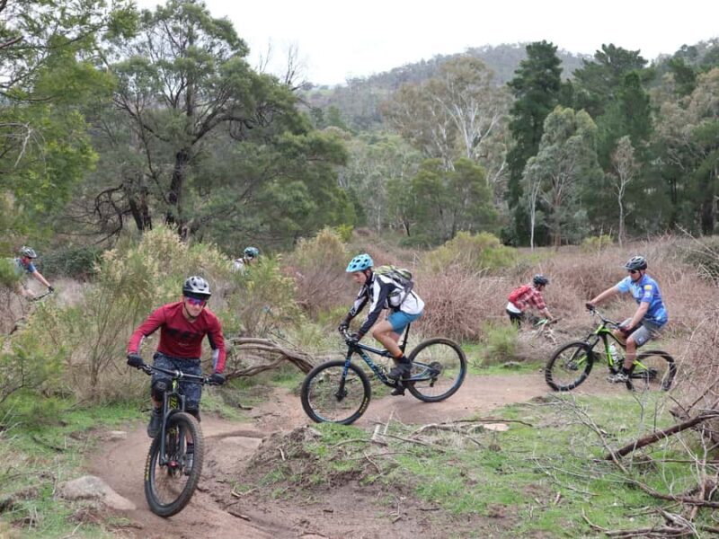 Melbourne: 1-Day Mountain Biking Adventure with Lunch - Authentic Experiences and Customer Feedback
