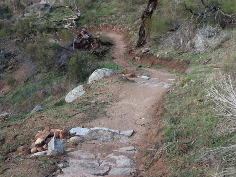 Melbourne: 1-Day Mountain Biking Adventure with Lunch - Who Should Consider This Tour?